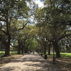 Spring In Savannah, Georgia