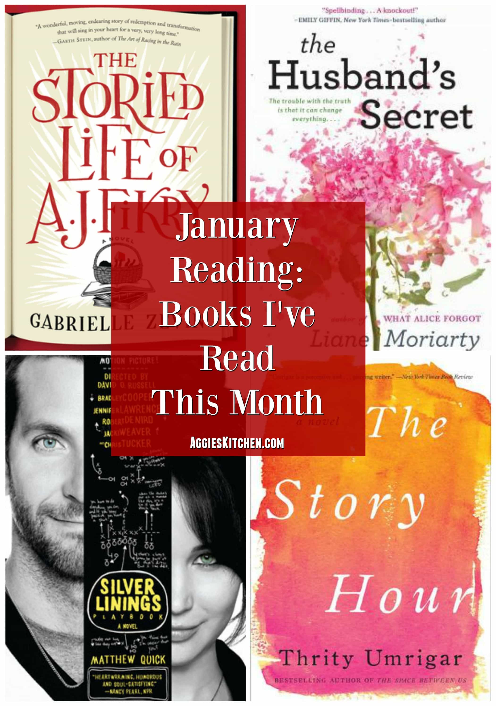 January Reading: Books I've Read This Month - Aggie's Kitchen