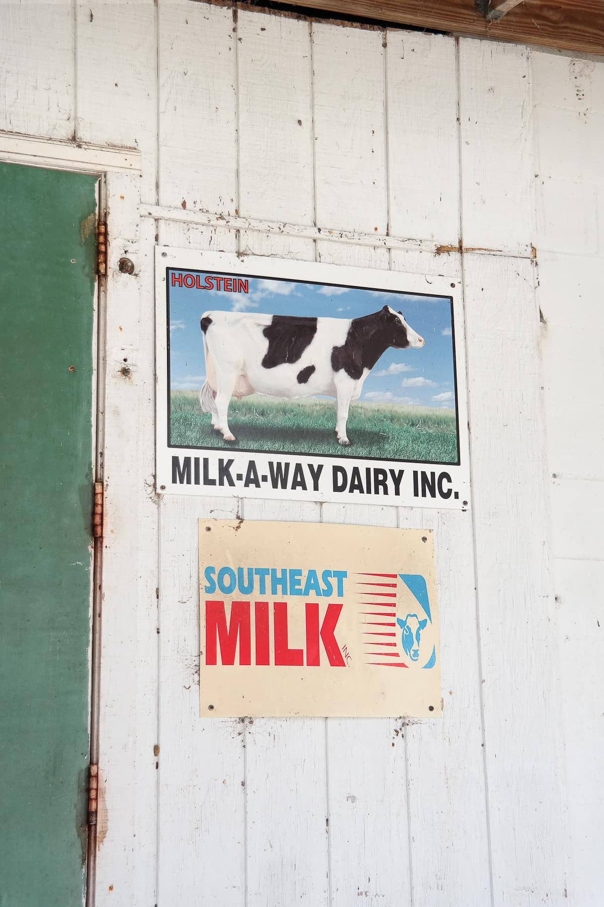 Layered Taco Dip + a tour of Milk-A-Way Dairy - Aggie's Kitchen